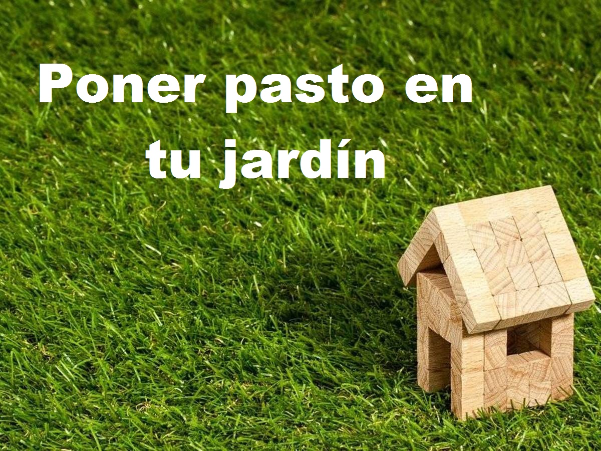 PONER PASTO EN TU JARDÍN: Consejos, asesoramiento y más